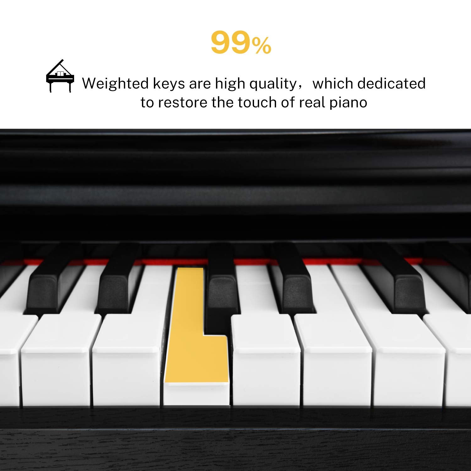 Donner DDP-100 Digital Piano for Beginners 88-Key Weighted | Donner ...